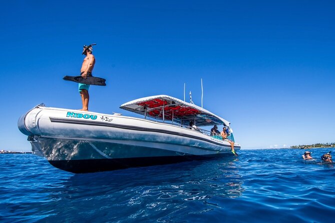 Small-Group Manta Ray Night Snorkel from Kona - The Sum Up