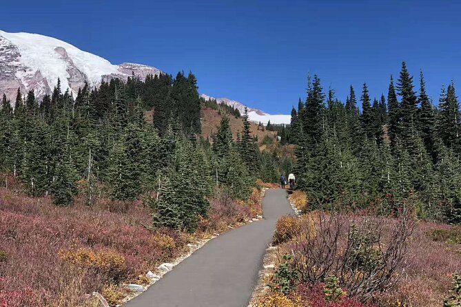Small Group Mt Rainier National Park Day Tour from Seattle 2CanGo - Who Should Consider This Tour?