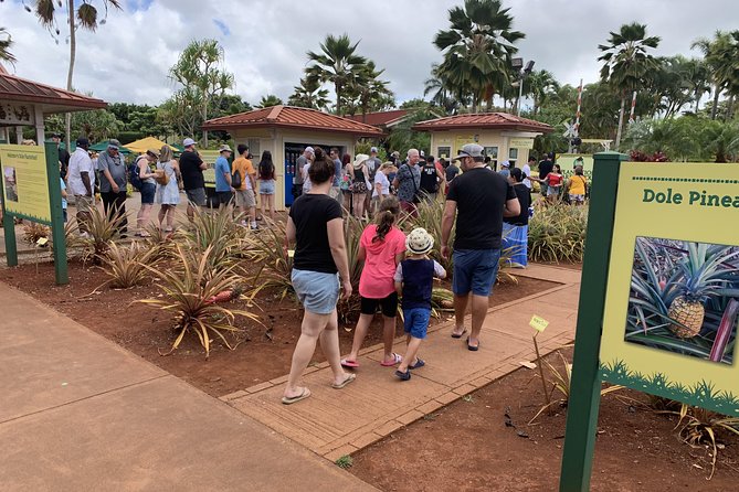 Small Group-Oahu Tour, Dole Plantation, Northshore, Sunset Beach - Who Might Want to Consider Alternatives?