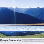 Small Group Olympic National Park Day Tour from Seattle 2CanGo - Pricing and Value