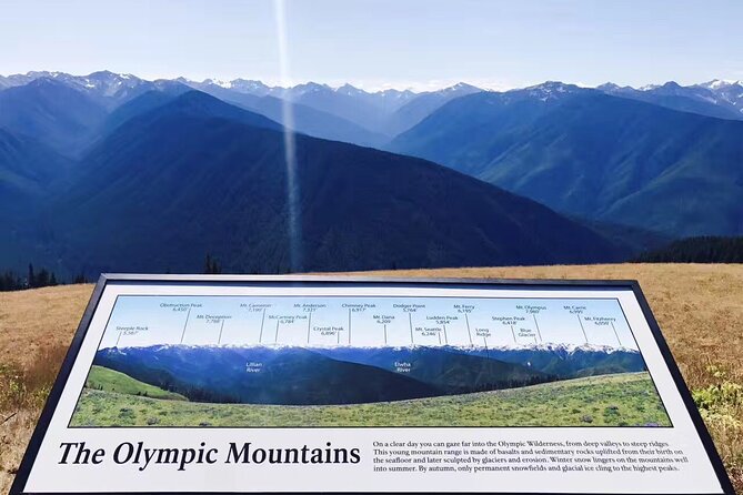 Small Group Olympic National Park Day Tour from Seattle 2CanGo - Pricing and Value