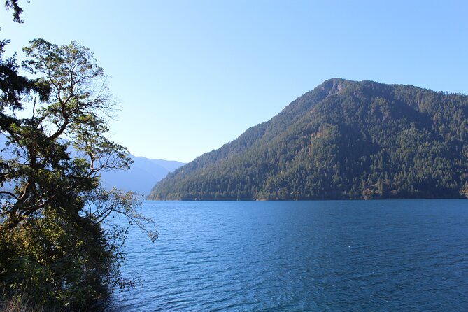 Small Group Olympic National Park Day Tour from Seattle 2CanGo - Practical Tips for Your Trip