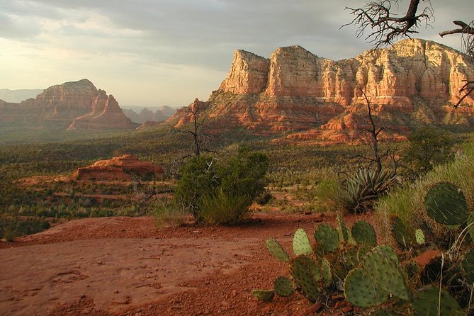 Small Group or Private Sedona and Native American Ruins Day Tour - What to Expect from This Sedona and Native American Ruins Tour