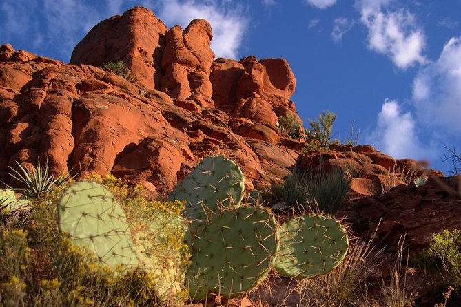 Small Group or Private Sedona and Native American Ruins Day Tour - Final Thoughts