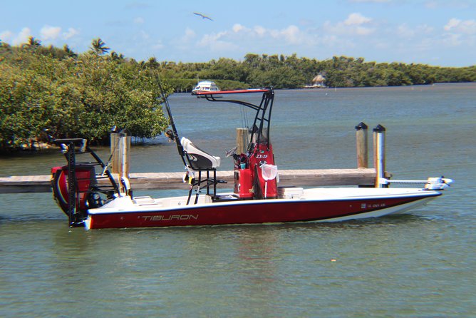 Small-group private Key West tour with expert guide - Additional Details and Practical Tips
