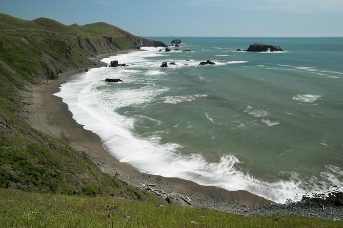 Small Group Redwoods, California Coast & Sausalito Day Trip from San Francisco - What to Expect from the Tour