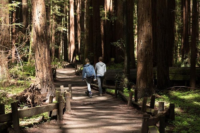 Small Group Redwoods, California Coast & Sausalito Day Trip from San Francisco - The Experience in Detail