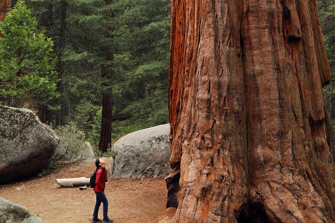Small Group Redwoods, California Coast & Sausalito Day Trip from San Francisco - Frequently Asked Questions