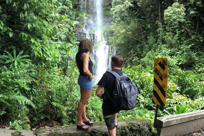 Small-Group Road to Hana Adventure Tour with Pickup & Lunch - What Makes This Tour Stand Out?  