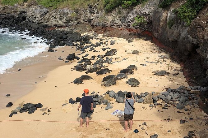 Small-Group Road to Hana Adventure Tour with Pickup & Lunch - Who Should Book This Tour?