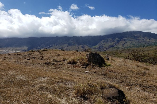 Small-Group Road to Hana Adventure Tour with Pickup & Lunch - FAQ  
