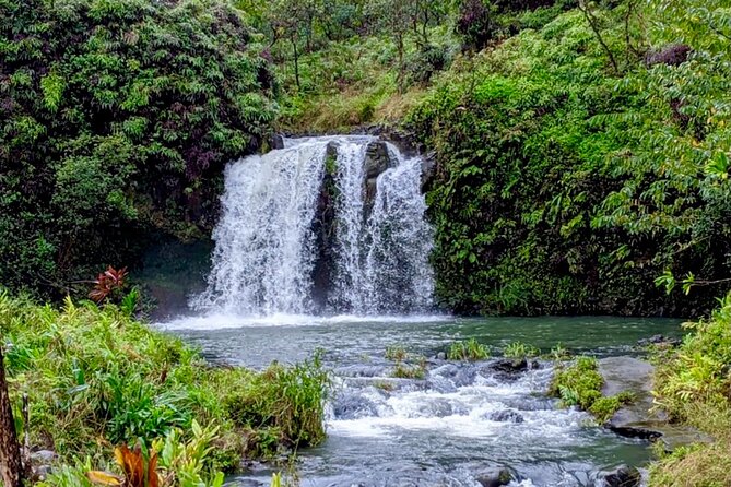 Small Group Road to Hna Tour 6 to 8 passengers - An In-Depth Review of the Small Group Road to Hana Tour