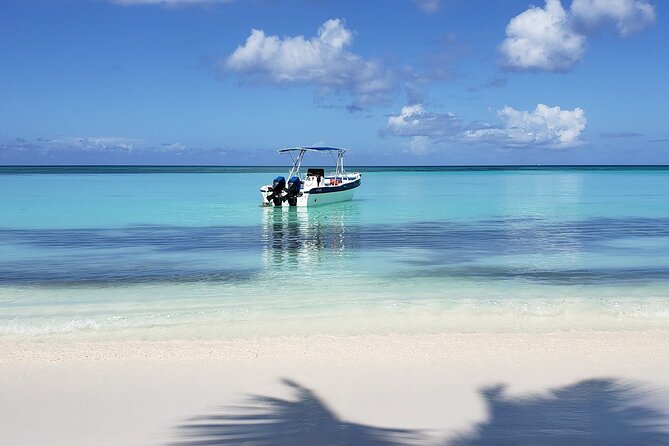 Small Group: Saona Island Full Day Tour - The Sum Up