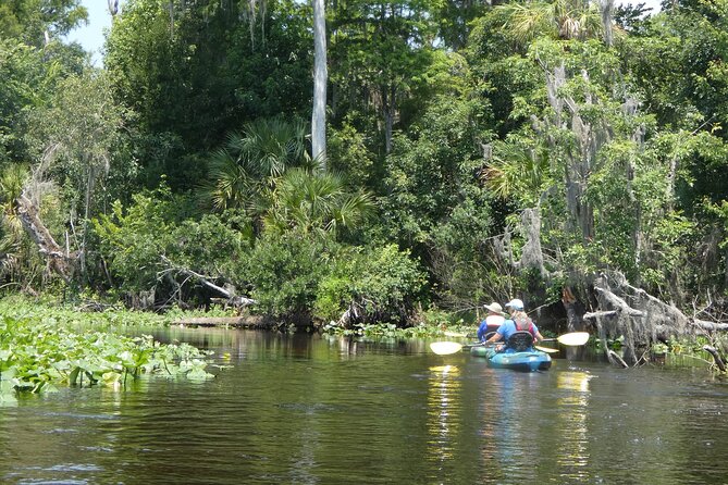 Small Group Scenic Wekiva River Kayak Tour near Orlando - Final Thoughts: Is This Tour Worth It?