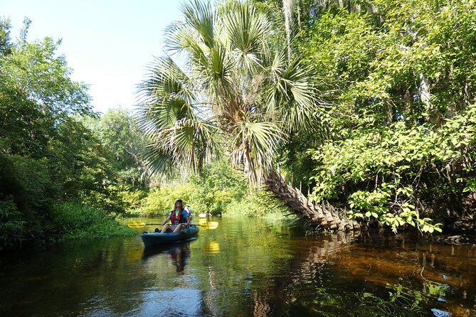 Small Group Scenic Wekiva River Kayak Tour near Orlando - FAQ