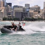 Small-Group Sightseeing Boat Tour in Chicago - What to Expect During the Tour