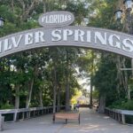 Small Group Silver Springs State Park 1-Day Tour from Orlando - Authentic Visitor Experiences
