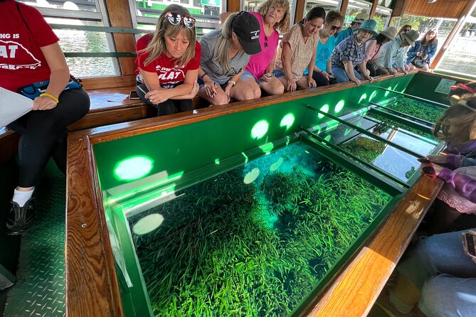 Small Group Silver Springs State Park 1-Day Tour from Orlando - FAQ