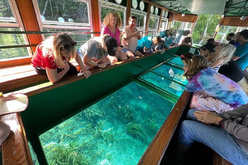 Small Group Silver Springs State Park Day Tour from Orlando - Practical Details & Tips