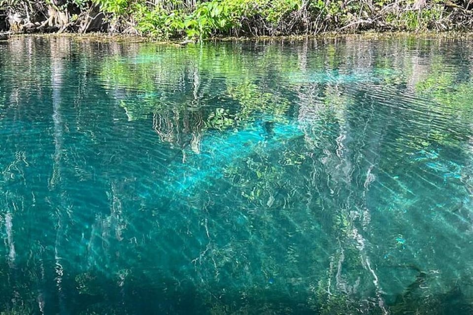 Small Group Silver Springs State Park Day Tour from Orlando - Who Is This Tour Best For?  