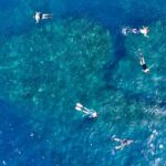Small Group Snorkeling Expedition South Kona - Practical Details and Tips