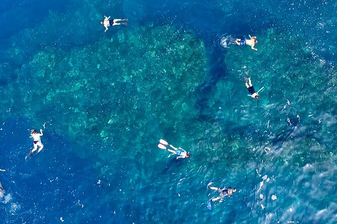 Small Group Snorkeling Expedition South Kona - Practical Details and Tips
