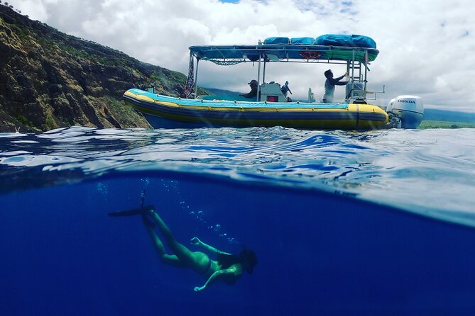 Small Group Snorkeling Expedition South Kona - The Sum Up: Is This Tour Worth It?