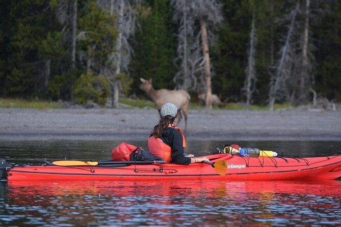 Small-Group Sunset Kayaking Tour on Lake Yellowstone - The Sum Up