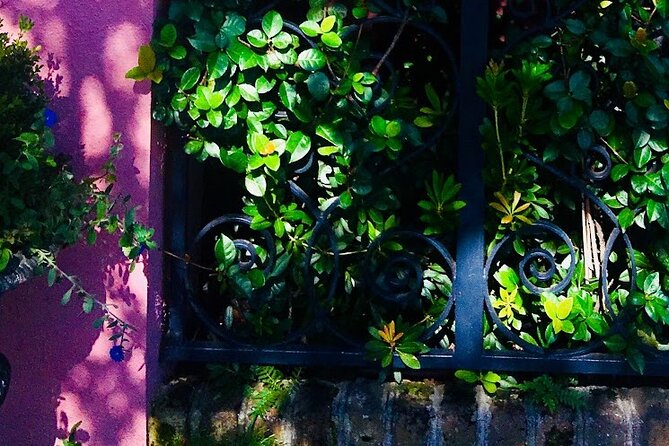Small-Group Tour: Charleston Old Walled City Historical Walking Tour - Final Impression