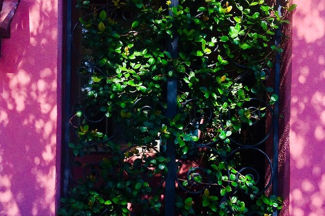 Small-Group Tour: Charleston Old Walled City Historical Walking Tour - In The Sum Up