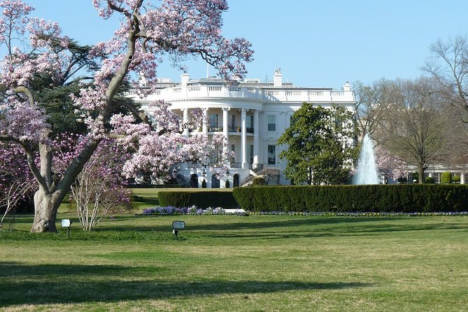 Small Group Tour of DC - Price vs. Value