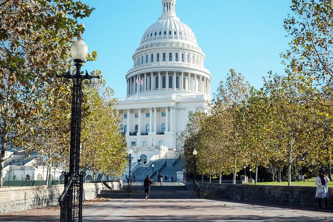 Small Group Tour of DC - Authentic Experiences from Other Travelers