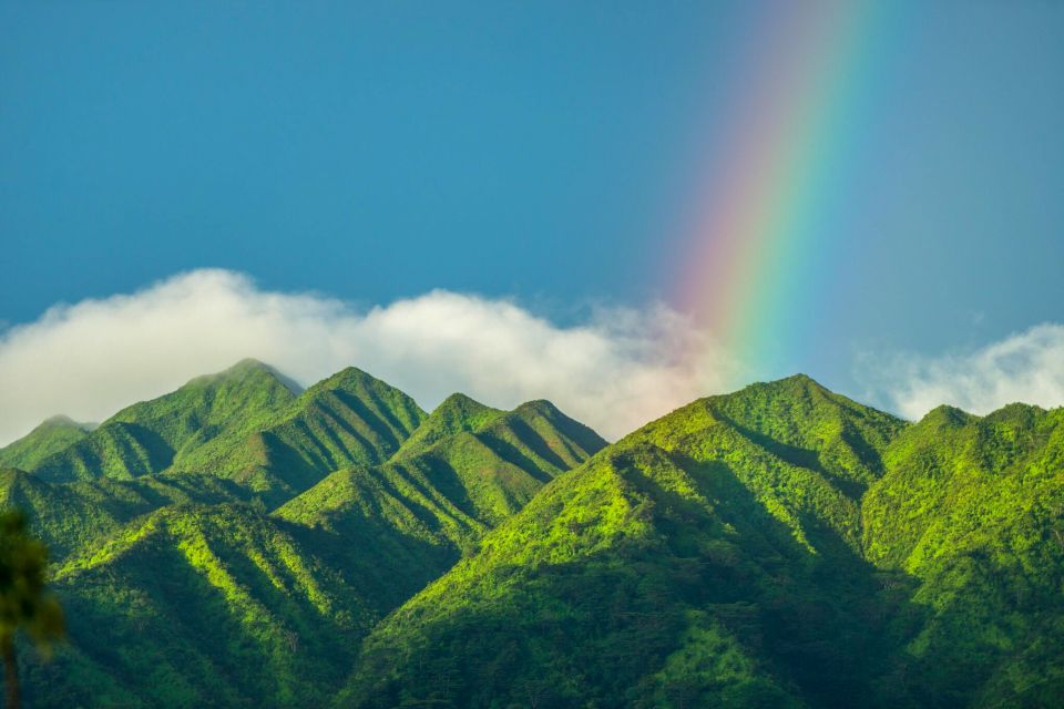 Small Group Tour of Honolulu Scenic Vistas with Sunset - Why We Think This Tour Could Be Your Perfect Hawaiian Sunset Experience