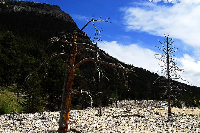 Small-Group Tour of the Rocky Mountain National Park from Denver - Final Thoughts
