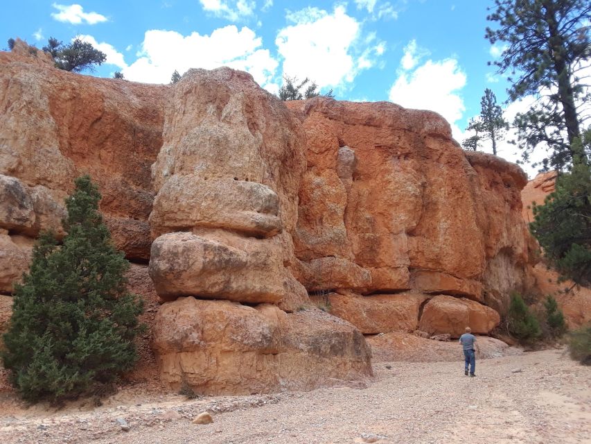 Small Group Tour Zion & Bryce Canyon National from Las Vegas - Zion National Park: The Grand Finale