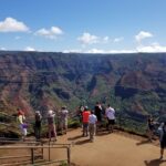 Small-Group Waimea Canyon Adventure Tour & Beyond with Lunch - Who Will Love This Tour?
