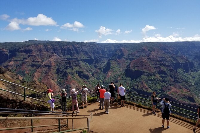Small-Group Waimea Canyon Adventure Tour & Beyond with Lunch - Who Will Love This Tour?