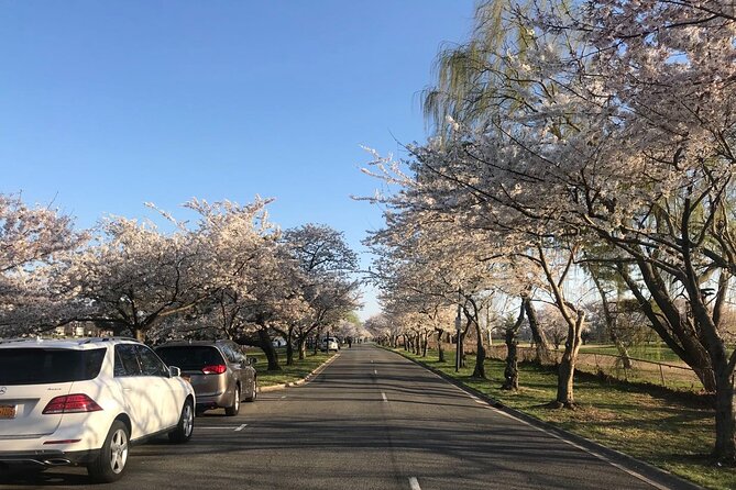 Small Group Washington D.C. Cherry Blossom 1-Day Experience Tour - Who Should Book This Tour?