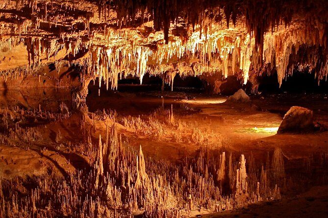 Small Group Washington DC to Shenandoah &Luray Caverns 1-Day Trip - Discover Virginia’s Natural Wonders: A Review of the Small Group Washington DC to Shenandoah & Luray Caverns Trip