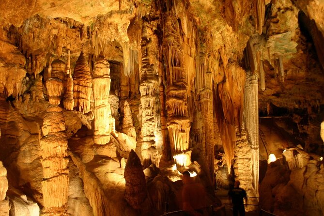 Small Group Washington DC to Shenandoah &Luray Caverns 1-Day Trip - Transportation and Group Size: Why It Matters