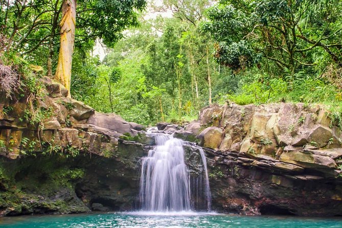 Small Group Waterfall and Rainforest Hiking Adventure on Maui - Learning About Maui’s Ecosystems