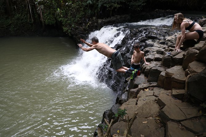 Small Group Waterfall and Rainforest Hiking Adventure on Maui - Tips for the Best Experience