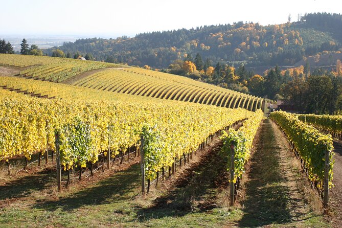 Small Group: Willamette Valley Wine Tour From Portland (Tasting Fees Included) - A Few Considerations