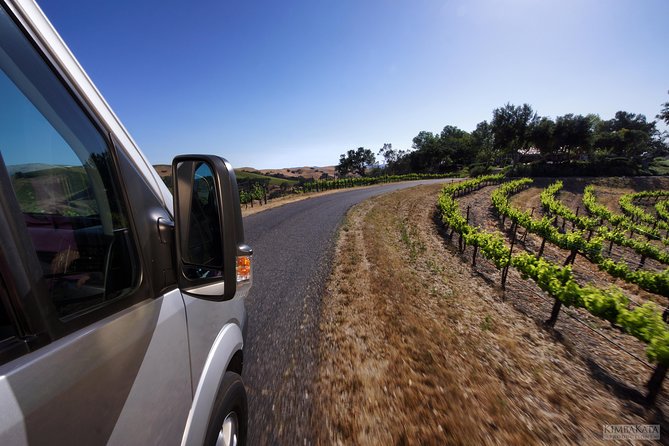 Small-Group Wine Tasting Tour of Santa Barbara Wine Country - Who Will Enjoy This Tour?
