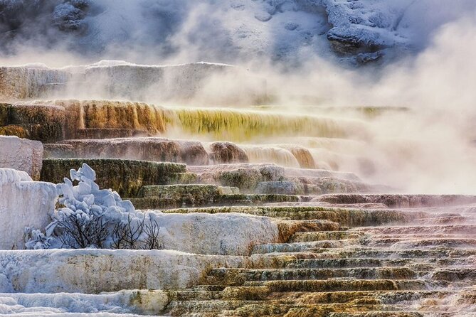 Small Group Yellowstone&Grand Teton 4-Day Tour w/2 Night Cabins - Key Points