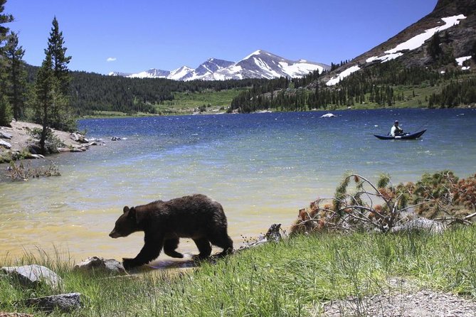 Small Group Yosemite and Giant Sequoias Day Trip from San Francisco - Transportation and Group Size
