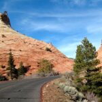 Small-Group Zion National Park Day Tour from Las Vegas - Real Insights from Travelers