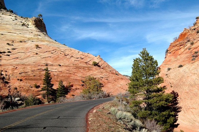 Small-Group Zion National Park Day Tour from Las Vegas - Real Insights from Travelers