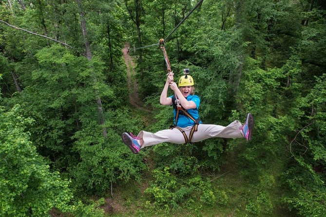 Small-Group Zipline Tour in Hot Springs - Why This Tour Offers Excellent Value