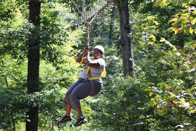 Small-Group Zipline Tour in Hot Springs - The Itinerary in Detail